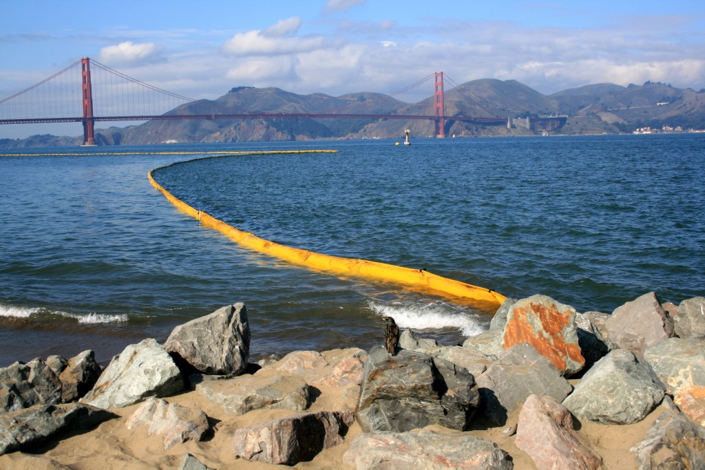 Capsized Canoe Necessitates Rescue Effort - San Francisco News